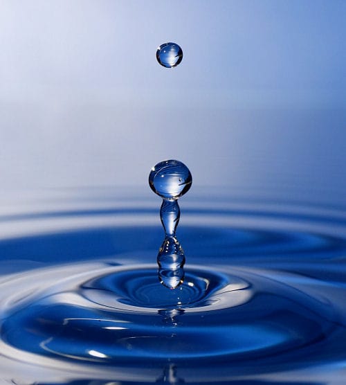water drop - Cornucopia Institute