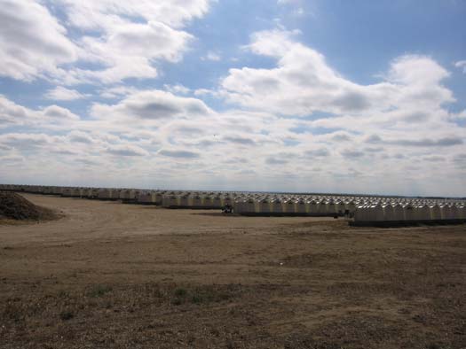 Aurora's Surrogate Heifer Ranch - Cornucopia Institute