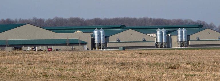 FDA/USDA Collude to Eliminate True Organic Egg Production - Cornucopia ...