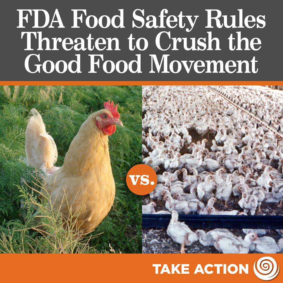 LAST CHANCE: Tell the FDA to Lay off of Organic Laying Hens (fight to ...