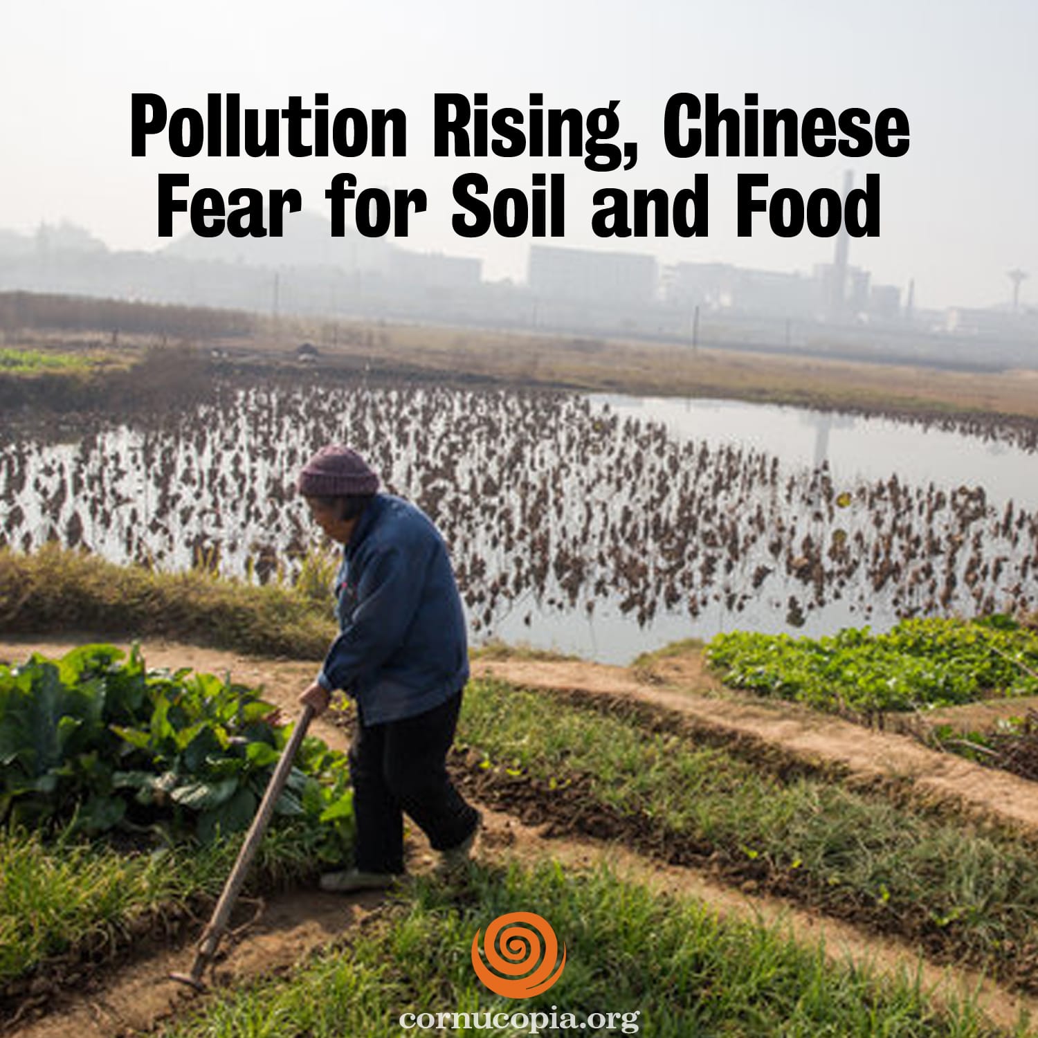 Pollution Rising, Chinese Fear for Soil and Food - Cornucopia Institute