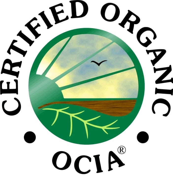 Ecia Logo Alice ECia