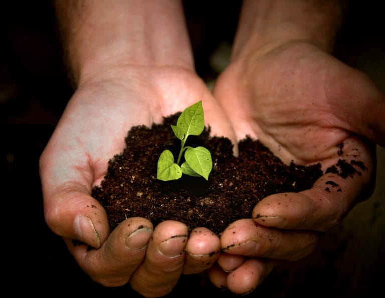 The Open Source Seed Initiative: Challenging the Corporate Control of ...