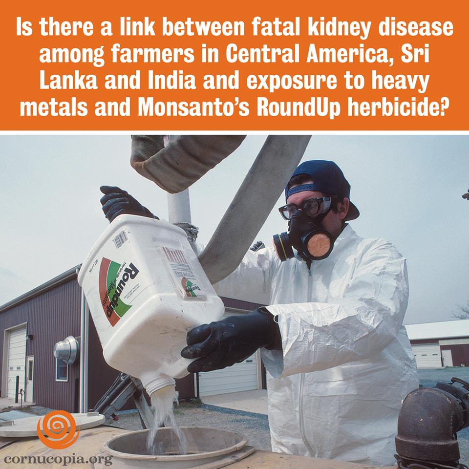 Food Sleuth Radio: Jeff Ritterman on Inequity and Taking Our Food ...