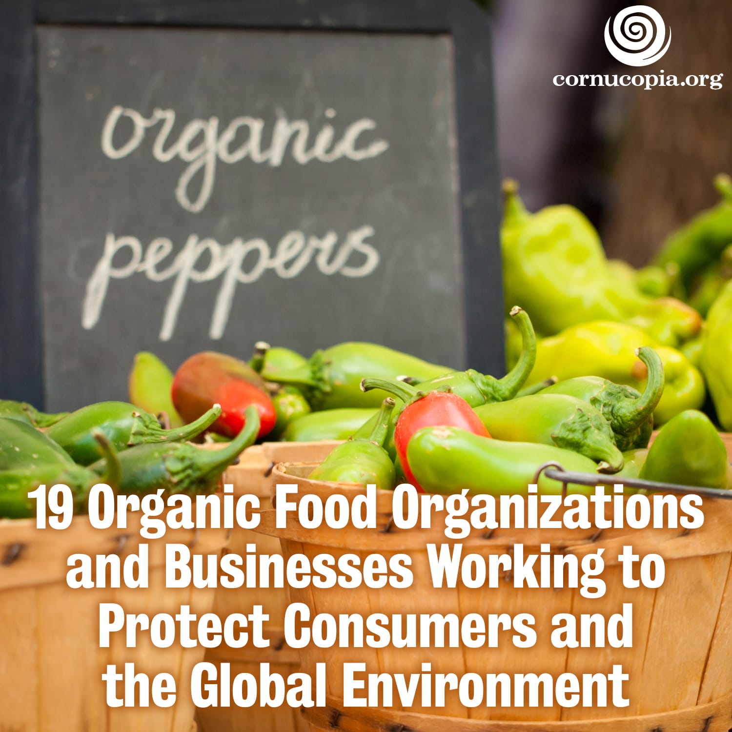 19 Organic Food Organizations and Businesses Working to Protect ...