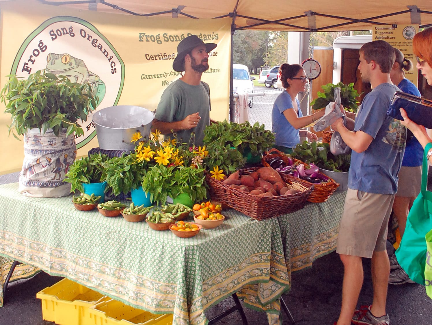 Singing the Song of a Start-up - Cornucopia Institute