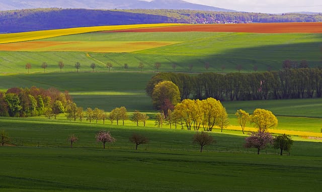 Germany is the Largest Organic Market in Europe - Cornucopia Institute