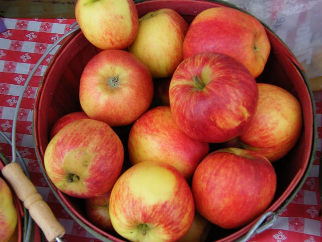 Organic Apples are in Season - Cornucopia Institute