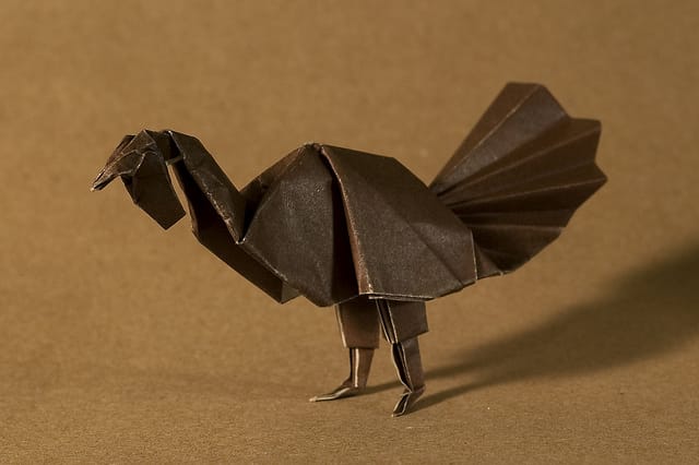 Organic Turkey? - Cornucopia Institute