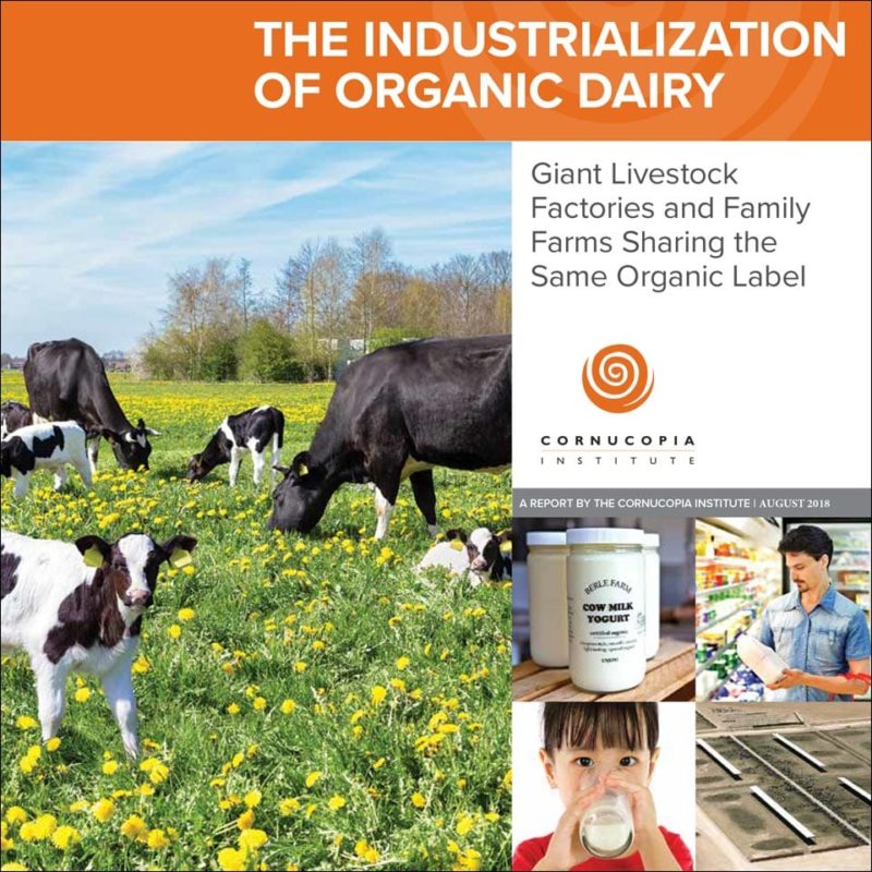 Organic Dairy Report and Scorecard - Cornucopia Institute