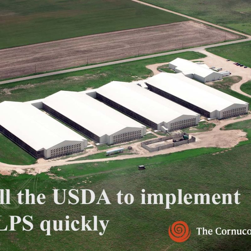 GMOs: Tell Makers of Similac That Our Babies Are Not "Human Lab Rats ...