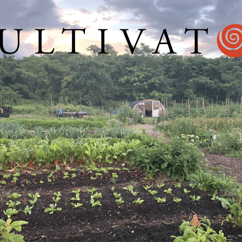 GMOs: Tell Makers of Similac That Our Babies Are Not "Human Lab Rats ...