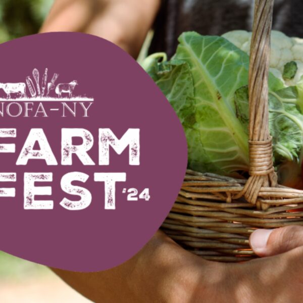 Home - Cornucopia Institute