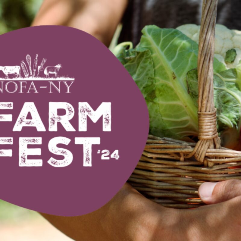 Organic Egg Scorecard - Cornucopia Institute