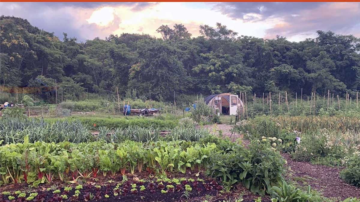 Alexandre Family Farm EcoDairy - Cornucopia Institute