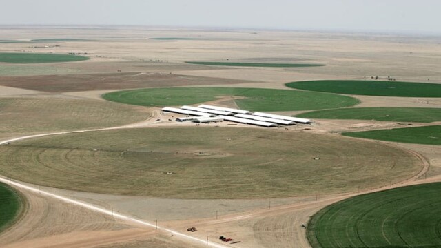 Photo Gallery: Natural Prairie - Cornucopia Institute